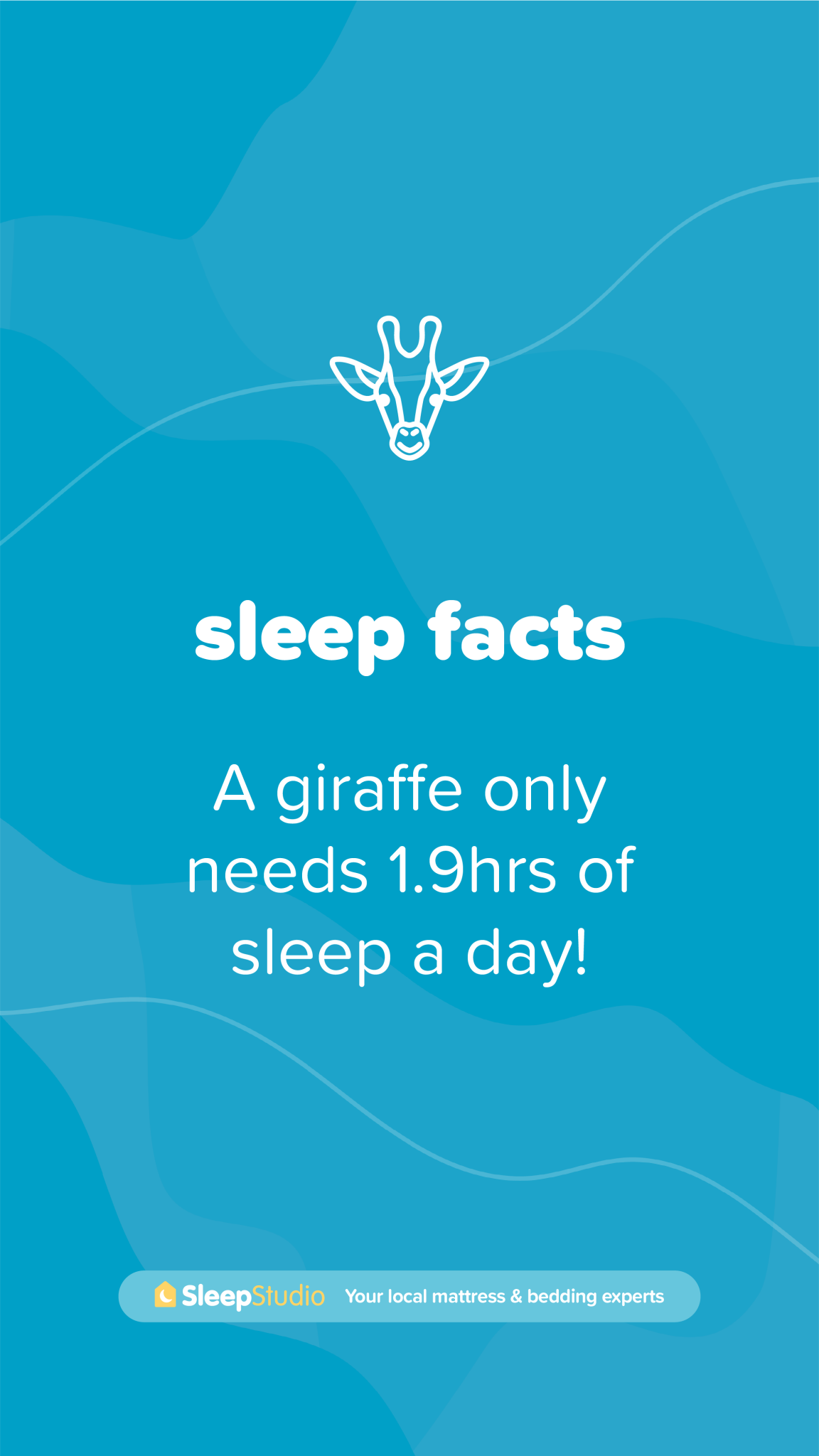 9 Facts You Probably Didn't Know about Sleep!