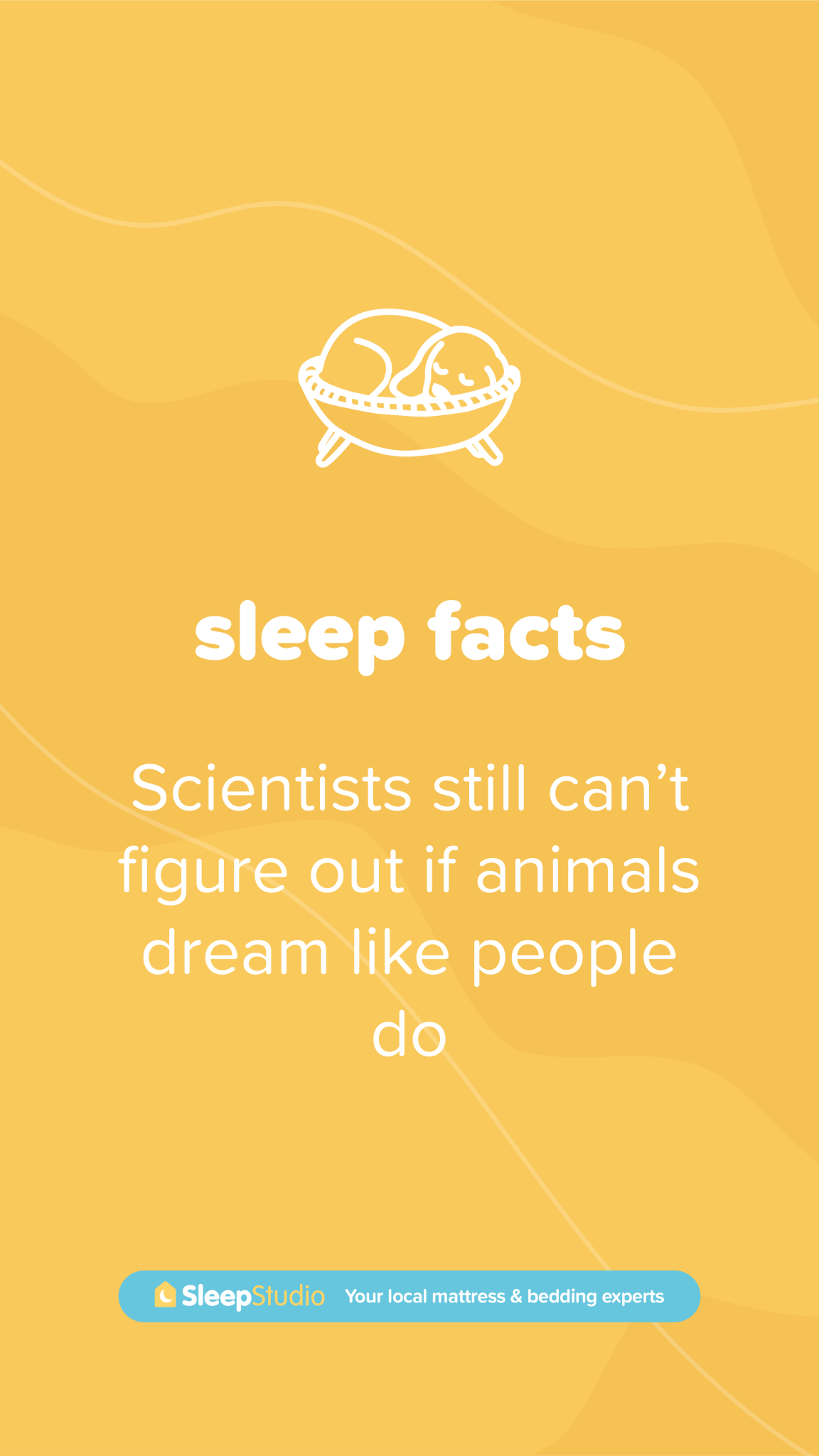 9 Facts You Probably Didn't Know about Sleep!